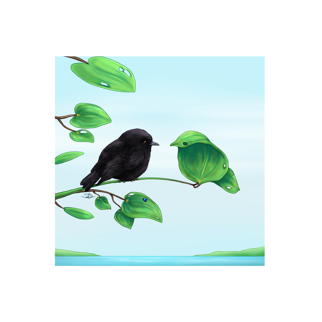 Tile - Mirror Black Robin – Awsam Gifts